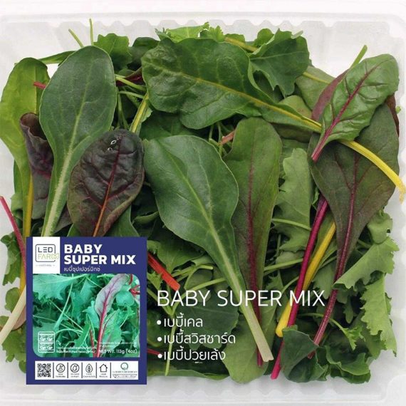 ENTERPACK PACKAGING SET (Korea) - เอ็กซเพรส พลาสแพค (ประเทศไทย)