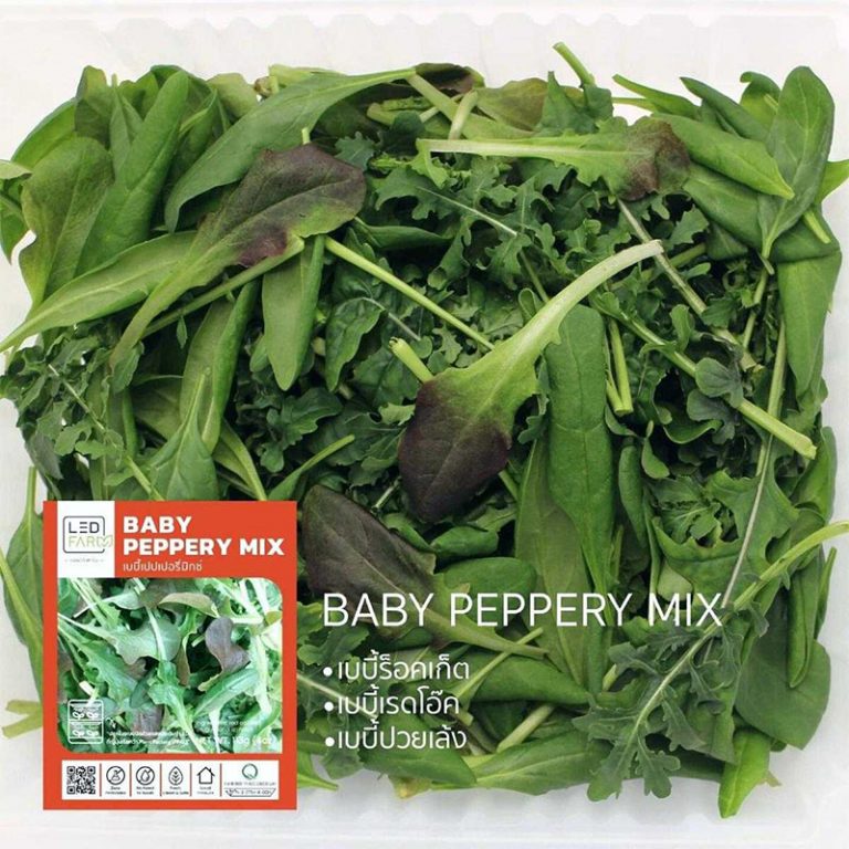 ENTERPACK PACKAGING SET (Korea) - เอ็กซเพรส พลาสแพค (ประเทศไทย)