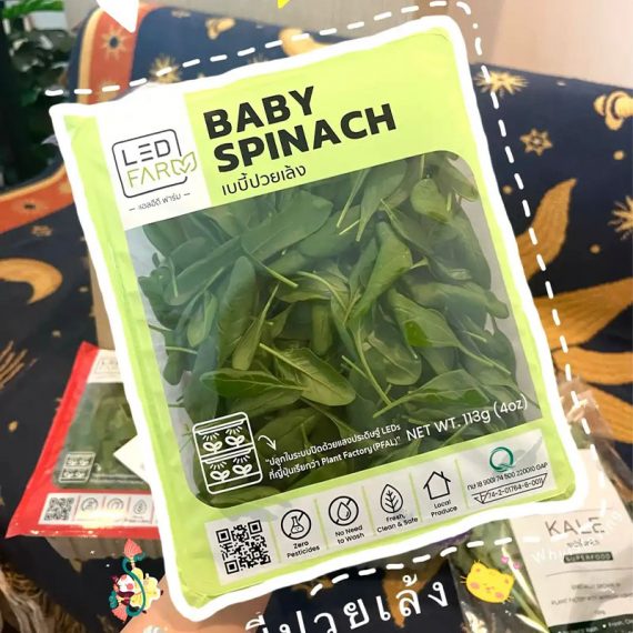 ENTERPACK PACKAGING SET (Korea) - เอ็กซเพรส พลาสแพค (ประเทศไทย)