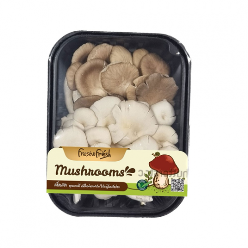 ENTERPACK PACKAGING SET (Korea) - เอ็กซเพรส พลาสแพค (ประเทศไทย)